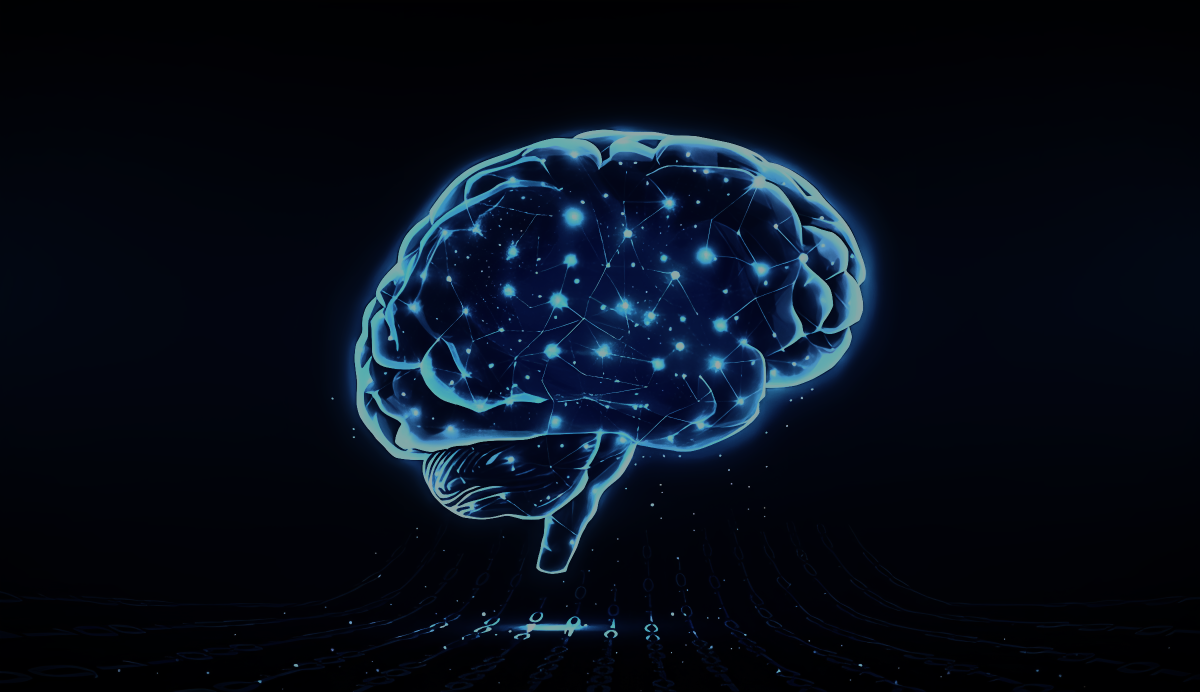 Bibek Portfolio Website